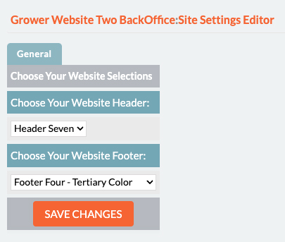GWS Header & Footer Options
