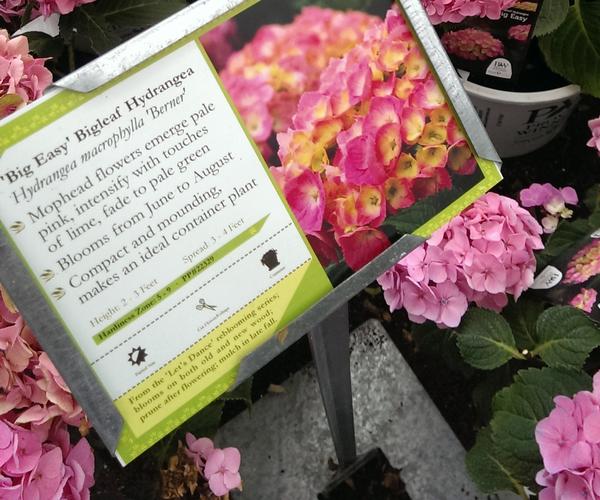 Get Noticed: 7 Tips for Great Garden Center Signage